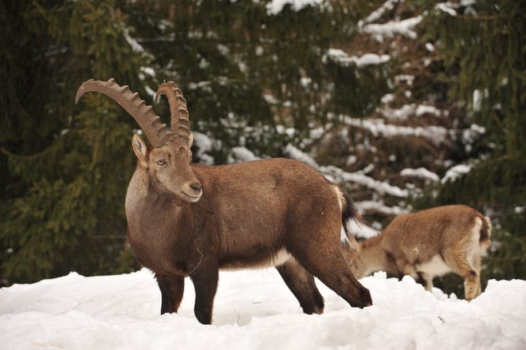 Bunker Mooseum – MuseumHinterPasseier
